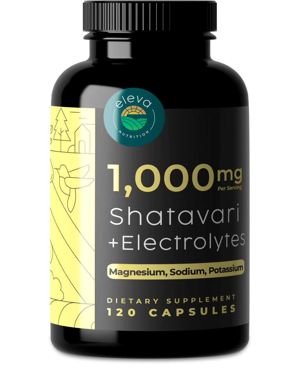 Shatavari Extract Capsules – Eleva Nutrition